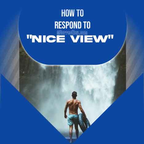 15 Nice View Replies