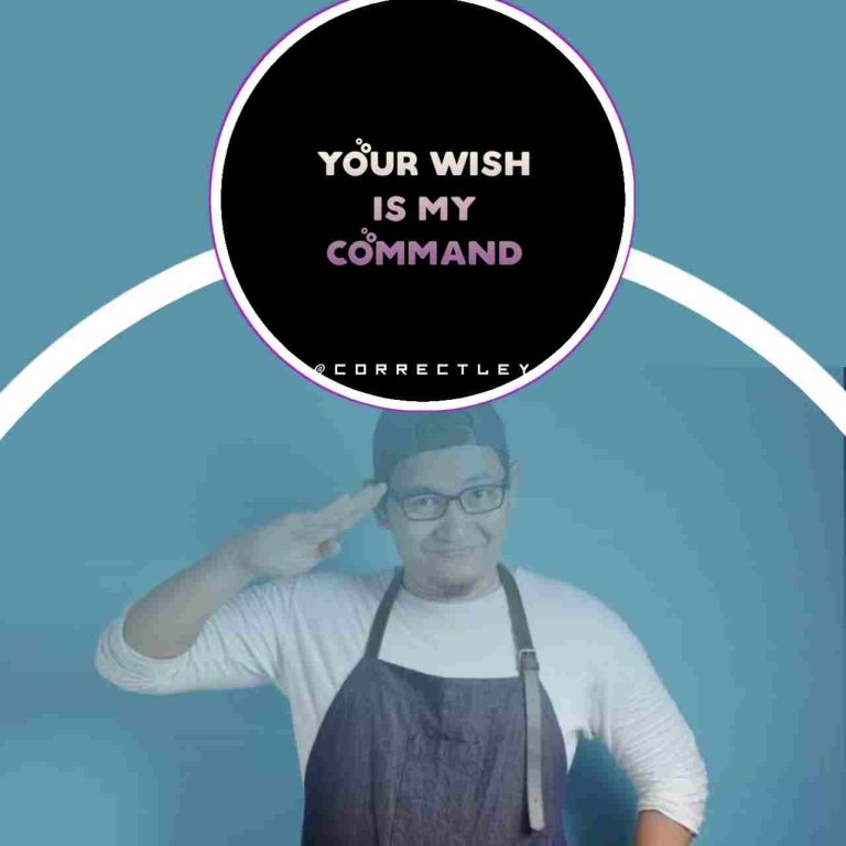 21 Similar Phrases to "Your Wish Is My Command"