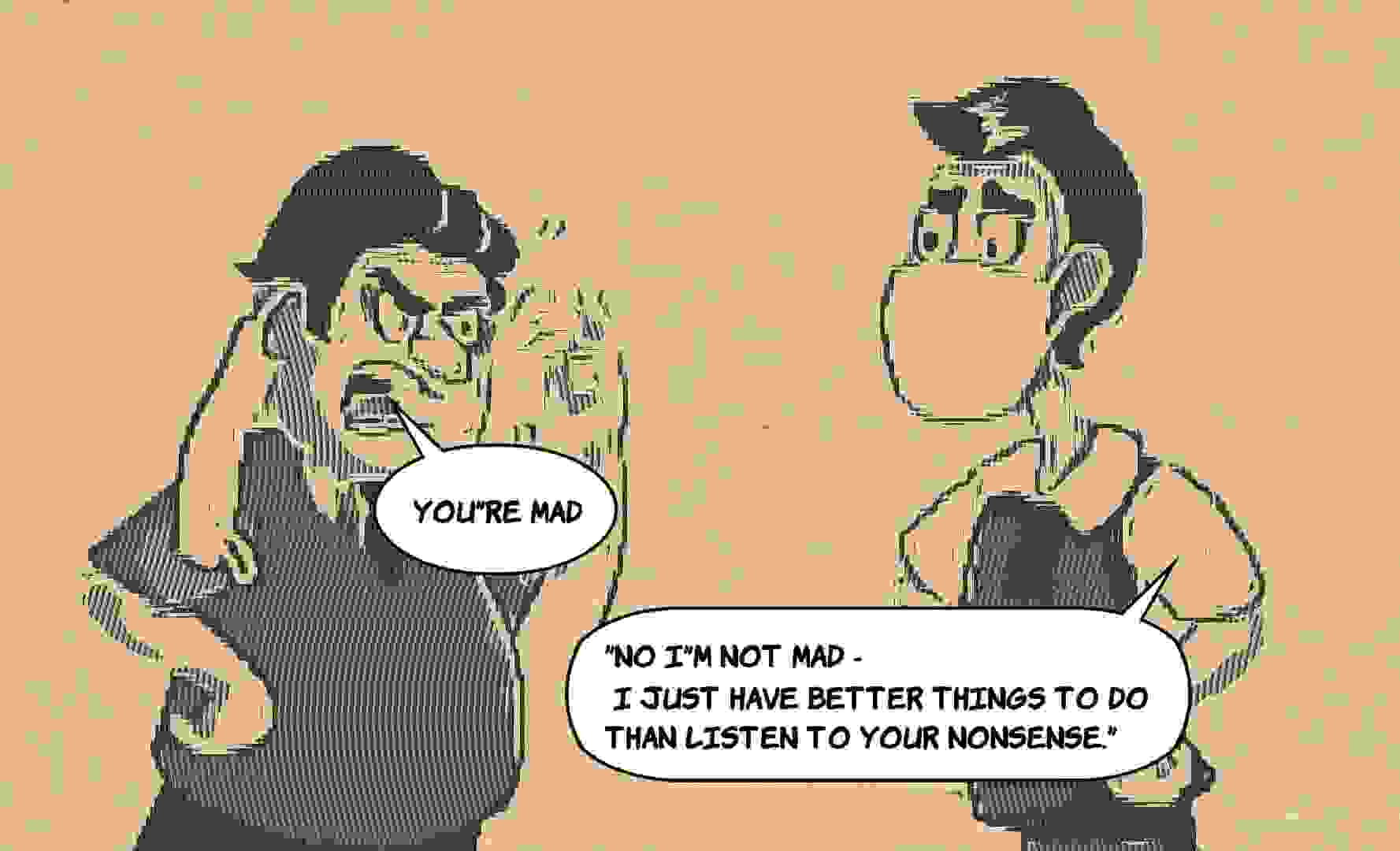 25 Best Responses To ‘You’re Mad’