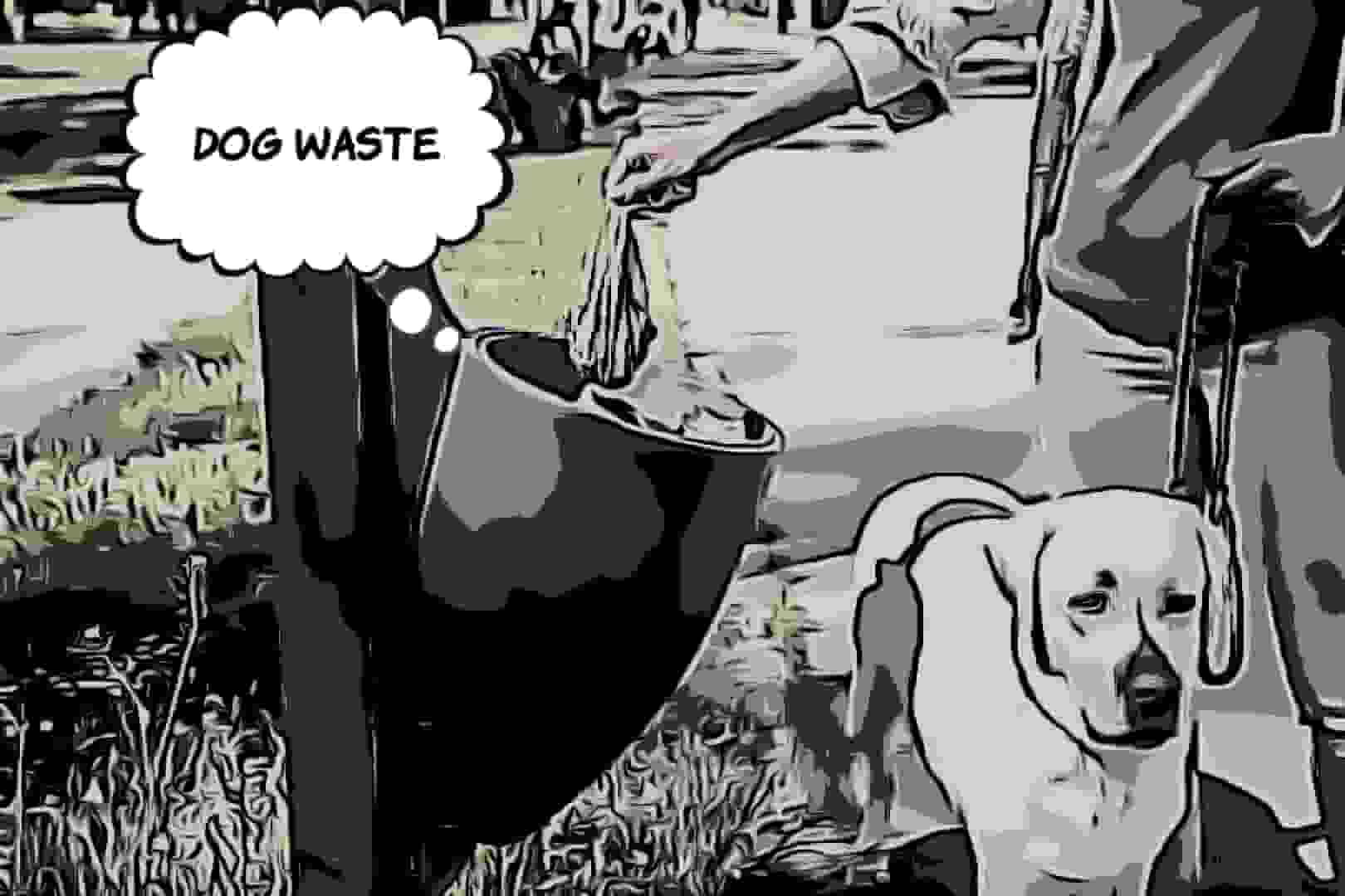 15 Other Words For Dog Poop